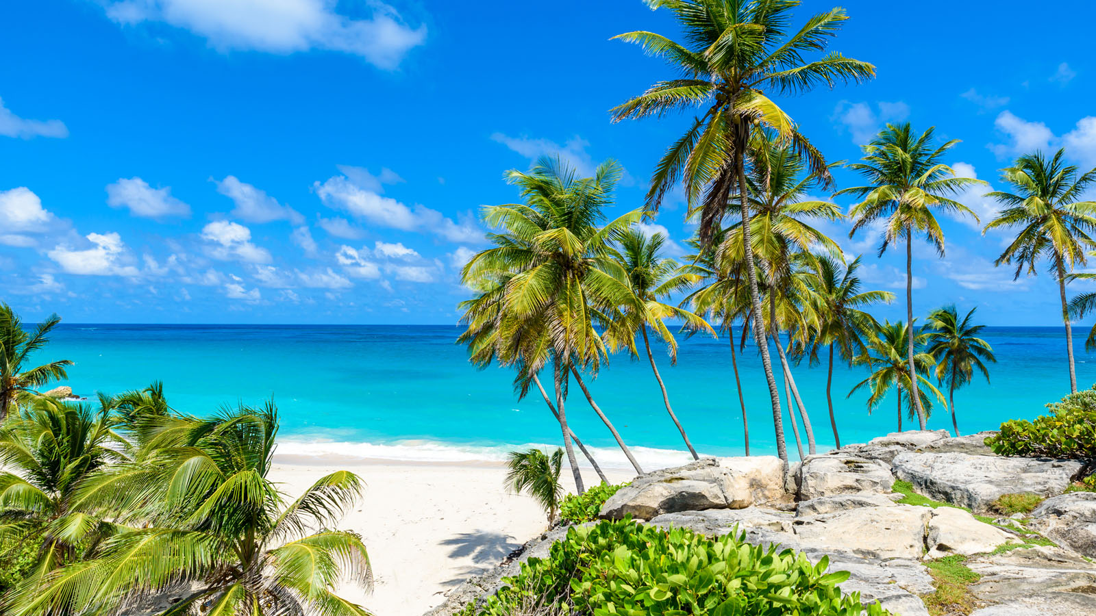 English courses in Barbados | ESL